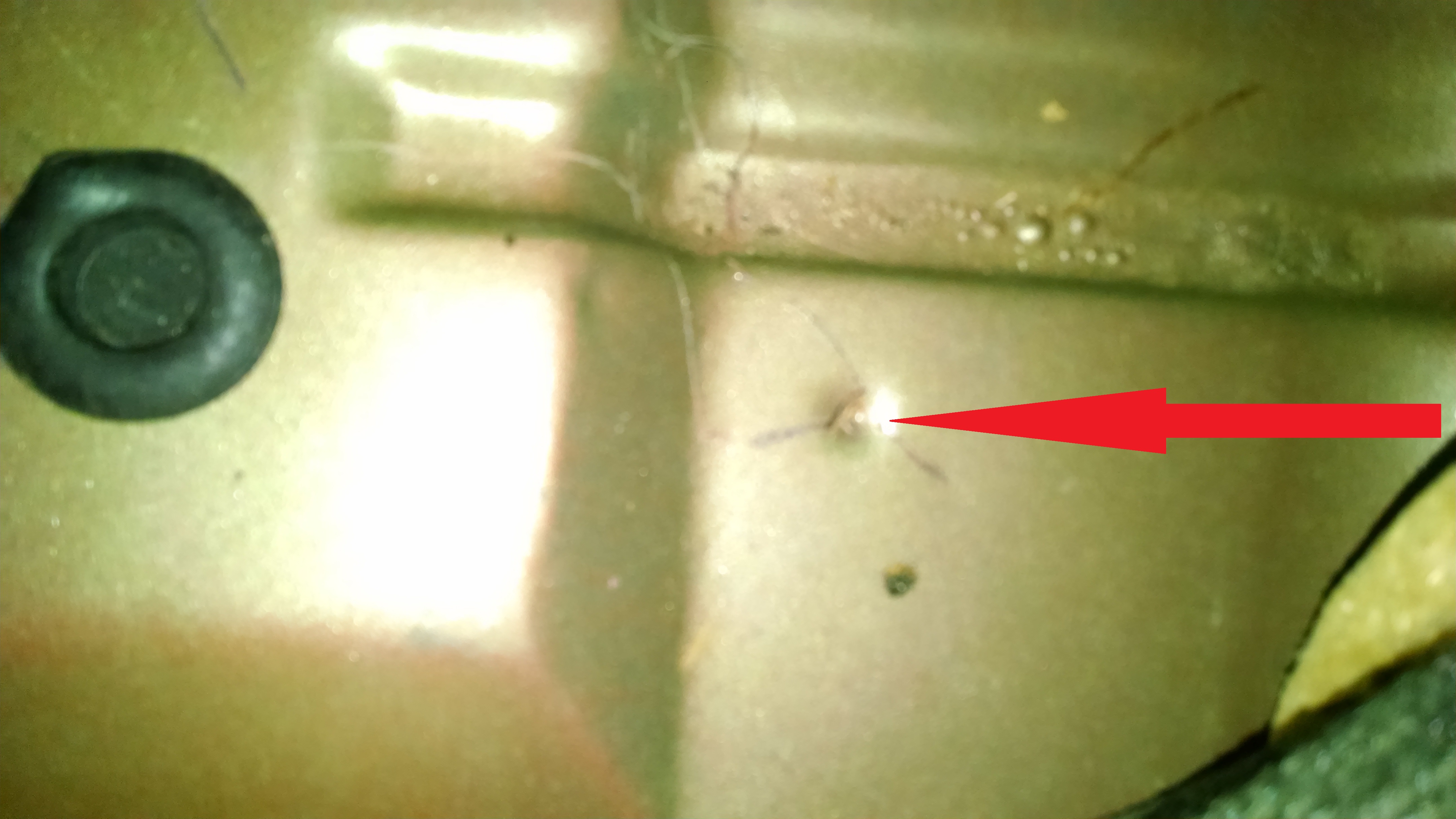 Step 3 AA | MOPAR RESTORATION PARTS